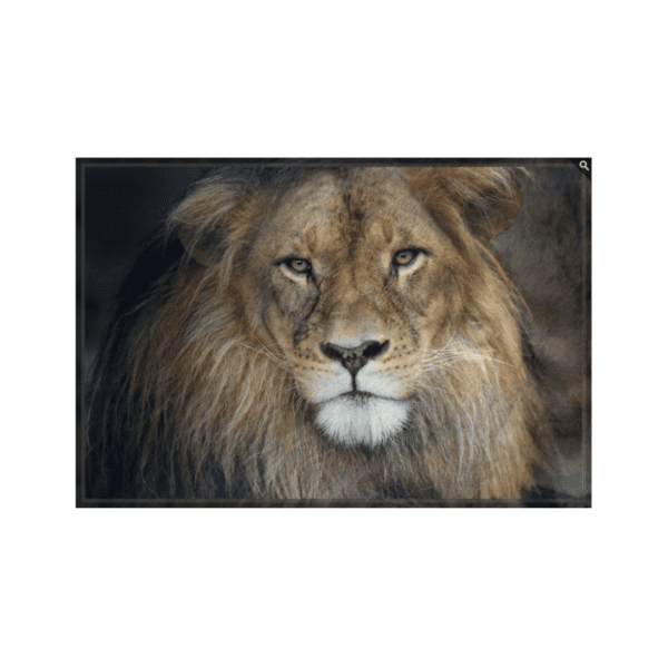 CECIL – Wall Art | Sapphire Wood
