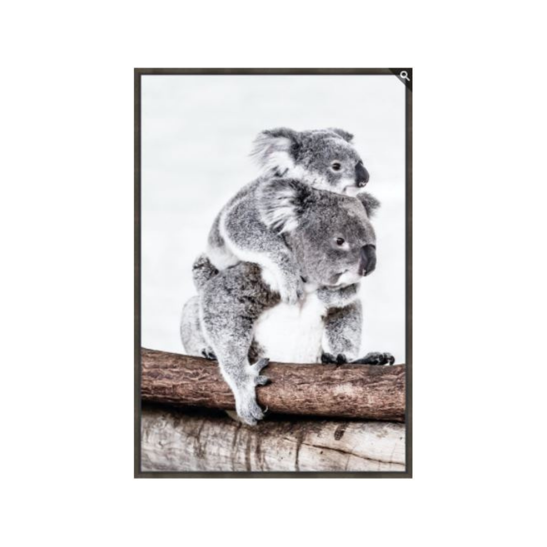 KOALA GREY I – Wall Art | Sapphire Wood